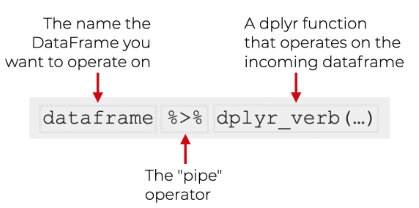 NWHDA - Cohort 2 - 5 Exploring Data with R
